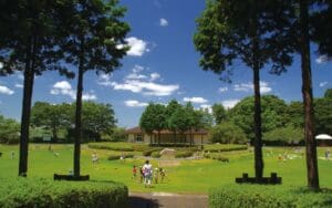 団体概要 | NPO法人ECCOM