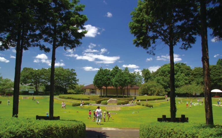 NPO法人ECCOM | 自然に関わる施設の運営管理、地域の自然環境の保全、観光まちづくり