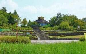 団体概要 | NPO法人ECCOM