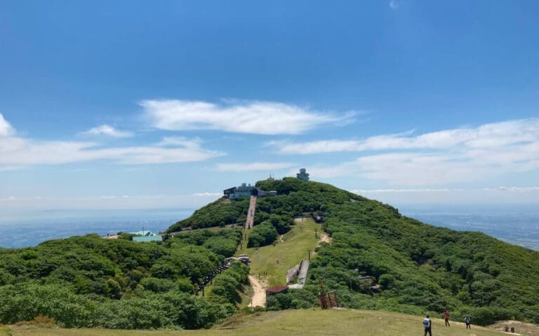 指定管理施設・自然関係施設の運営 | NPO法人ECCOM